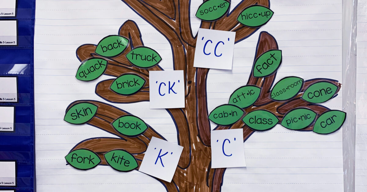 When to Teach the '-ck' Spelling Rule | Reading Universe